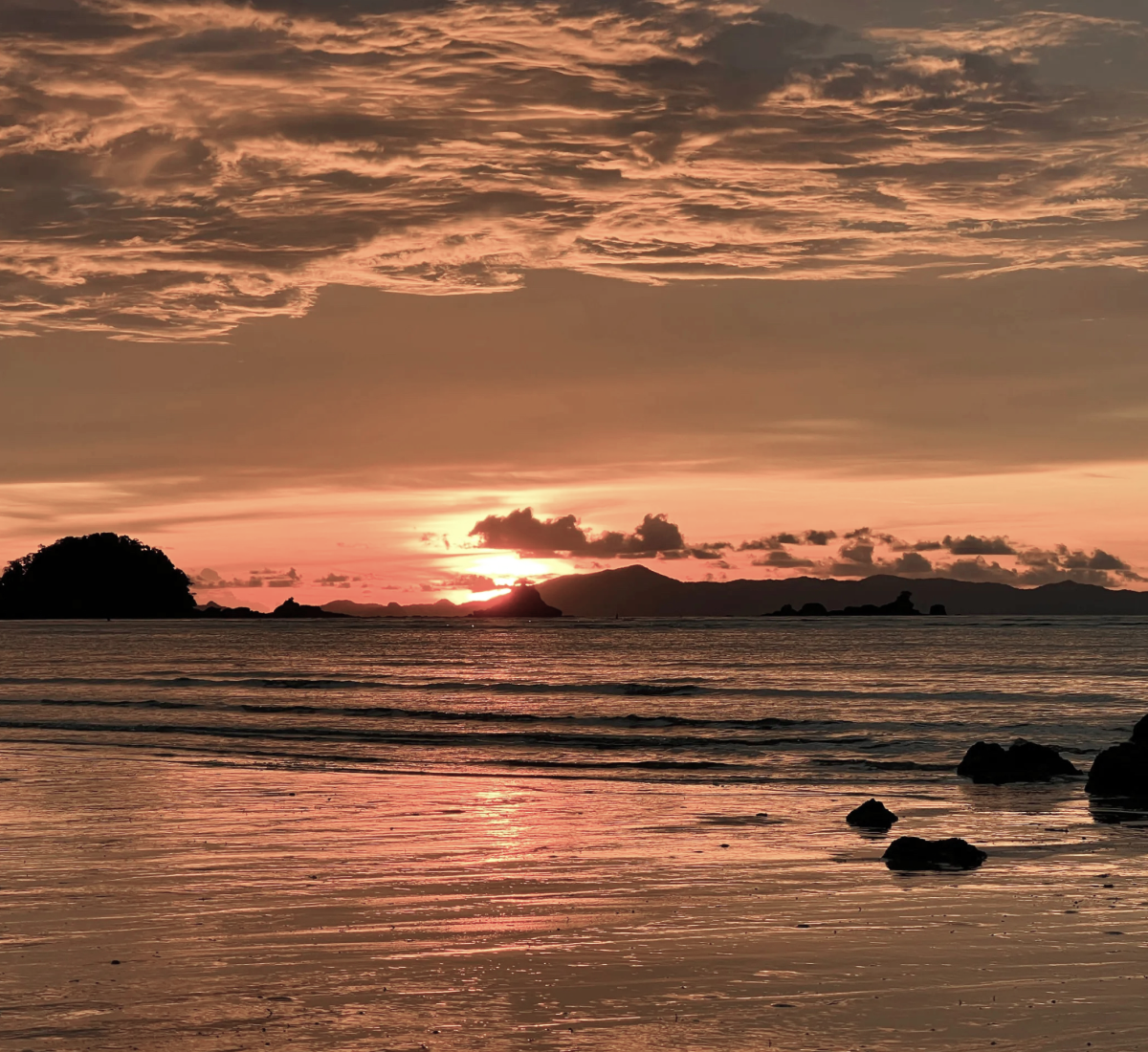 Not Just A Middleman: Three Essential Characteristics for a ...